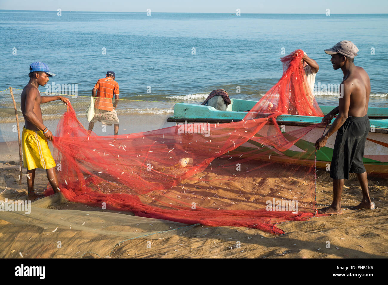Indian fish sorting hi-res stock photography and images - Alamy