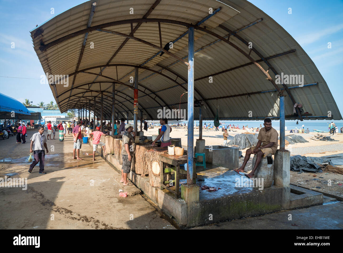 Asia, Sri Lanka Negombo, People at fish market morning Stock Photo - Alamy