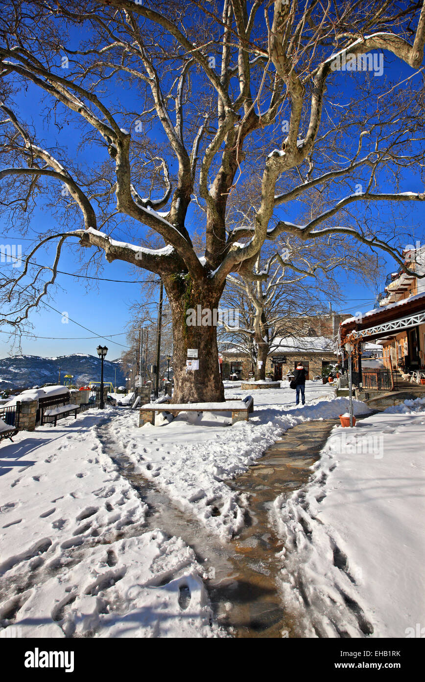 At the square of Rapsani village (famous for its wines) on the slopes ...
