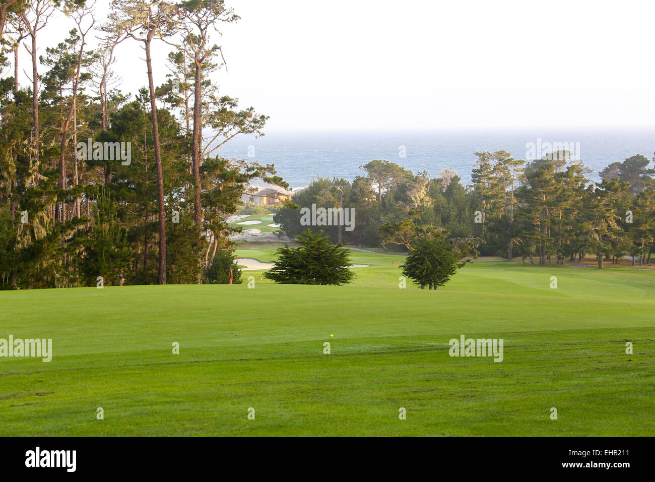 Beach golf course Stock Photo - Alamy