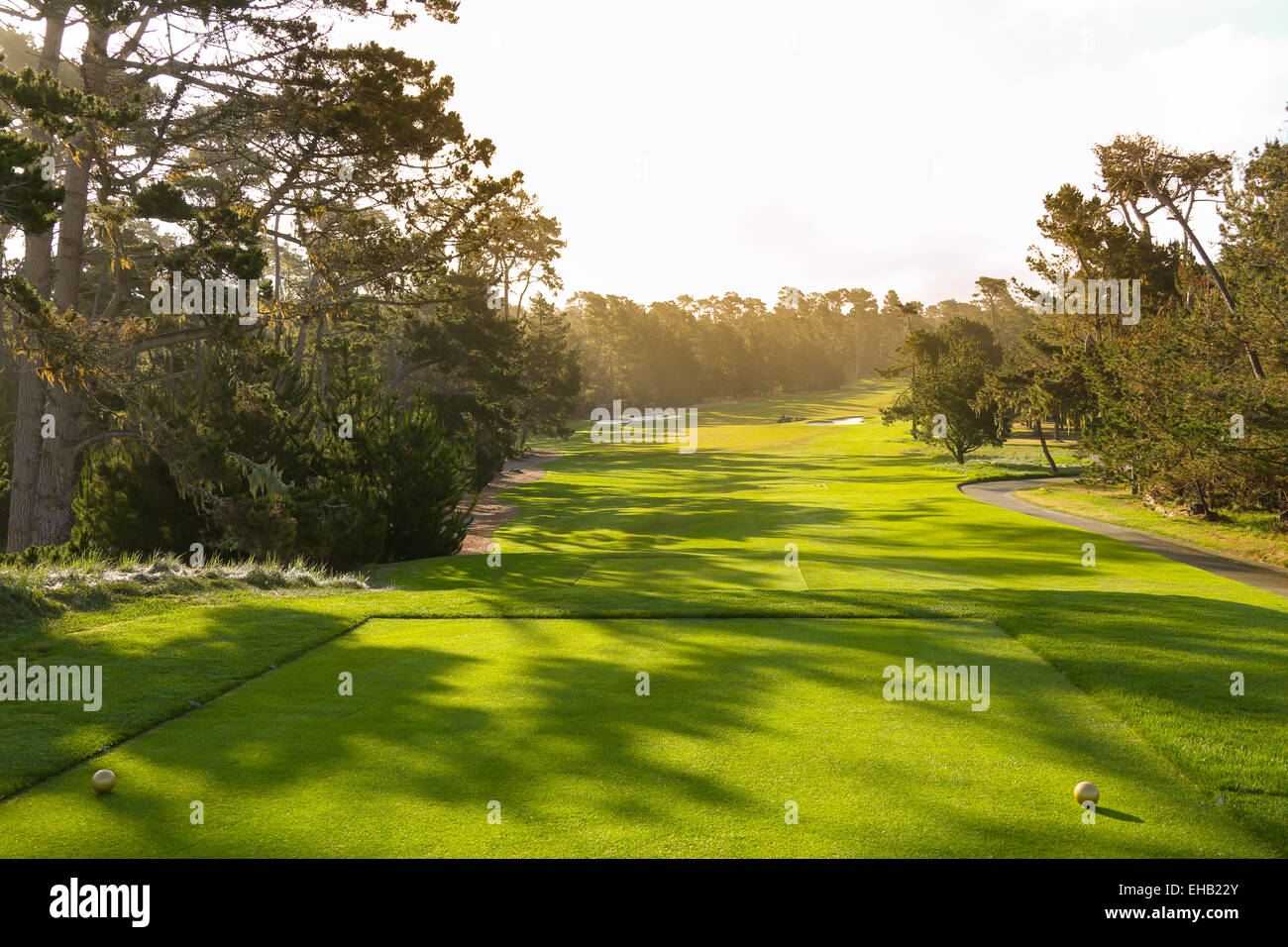 The green golf course Stock Photo - Alamy