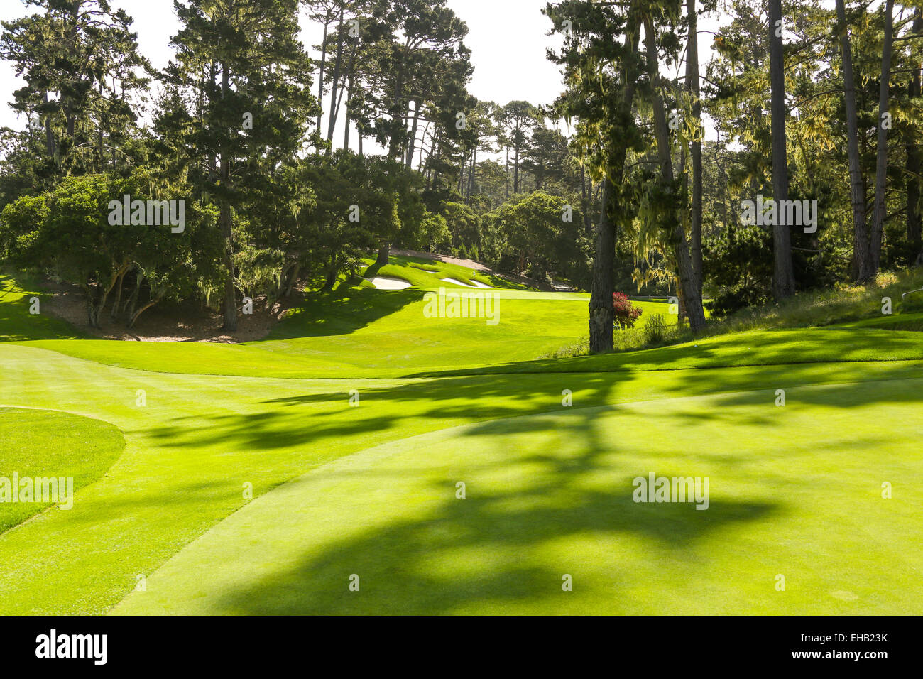 The green golf course Stock Photo - Alamy