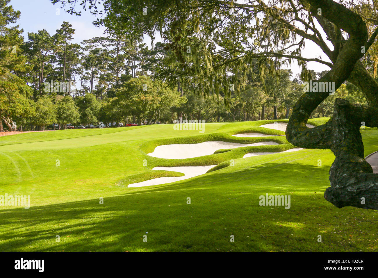 The green golf course Stock Photo - Alamy