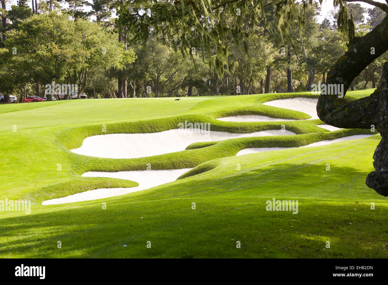 The green golf course Stock Photo - Alamy