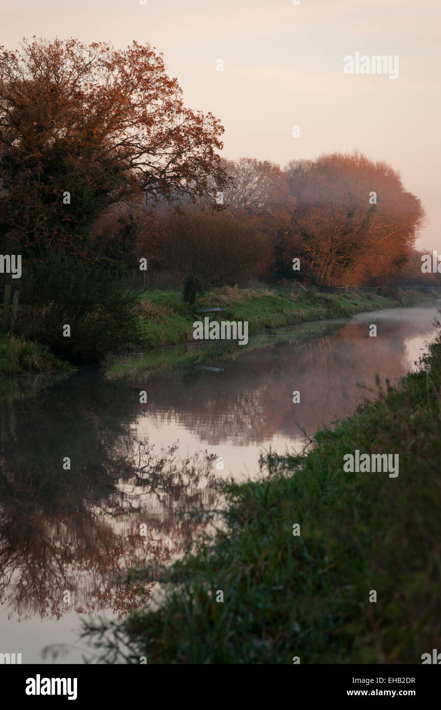 Shapwick Heath Nature Reserve, Somerset Stock Photo - Alamy