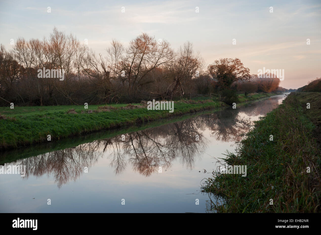 Shapwick Heath Nature Reserve, Somerset Stock Photo - Alamy