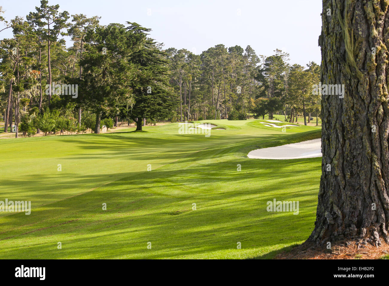The green golf course Stock Photo - Alamy