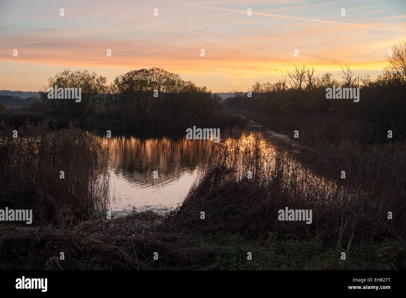 Shapwick Heath Nature Reserve, Somerset Stock Photo - Alamy