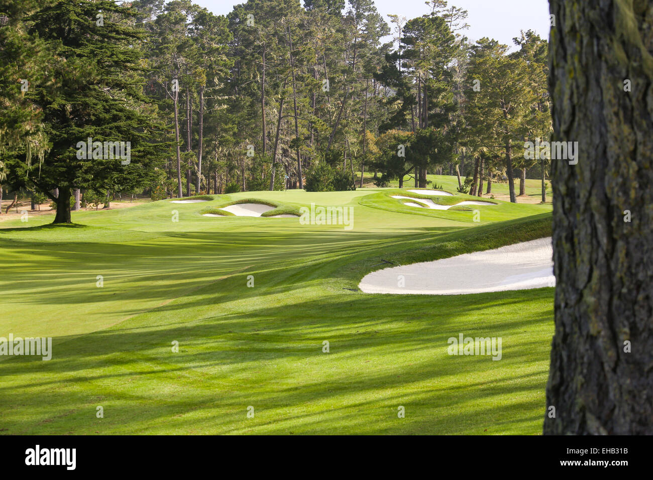 The green golf course Stock Photo - Alamy