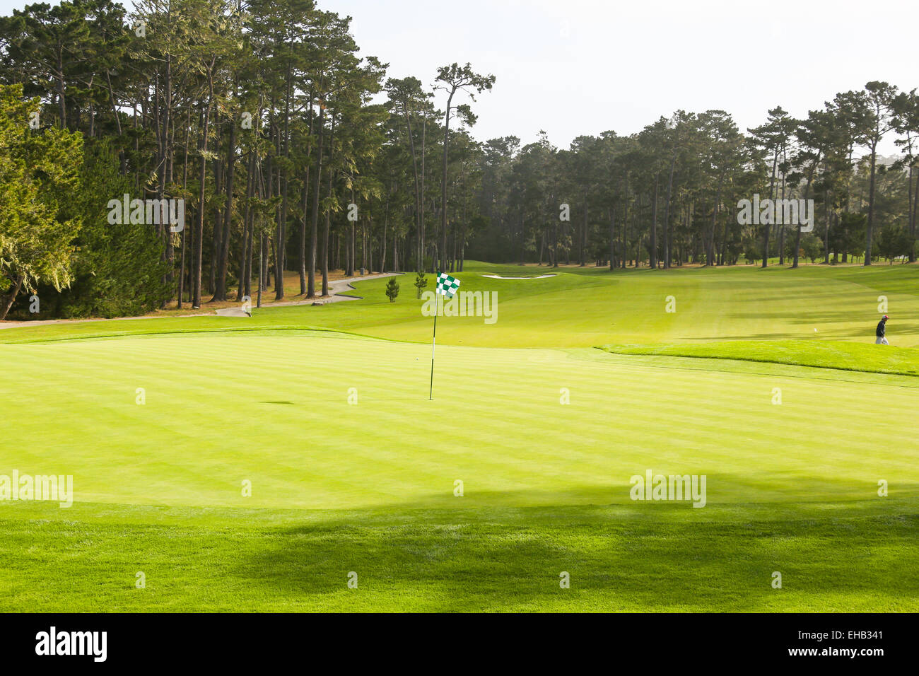 The green golf course Stock Photo - Alamy