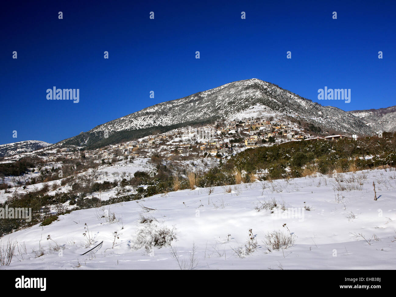 Rapsani village (famous for its wines) on the slopes of Mount Olympus ...
