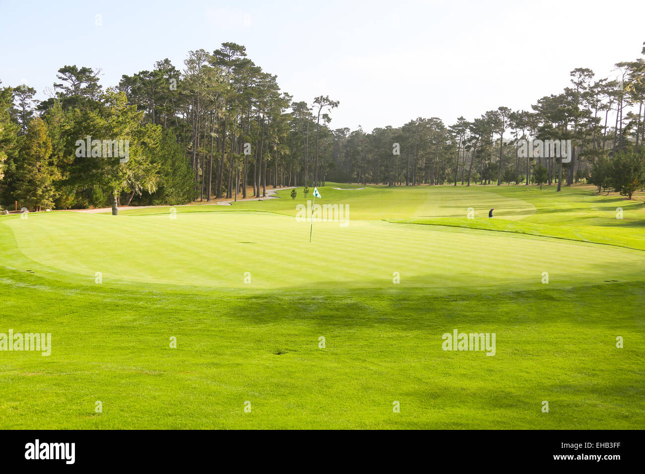 The green golf course Stock Photo - Alamy