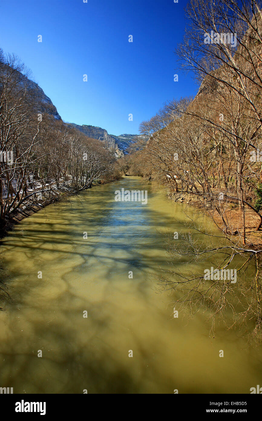 Tembi tempi gorge tree hi-res stock photography and images - Alamy