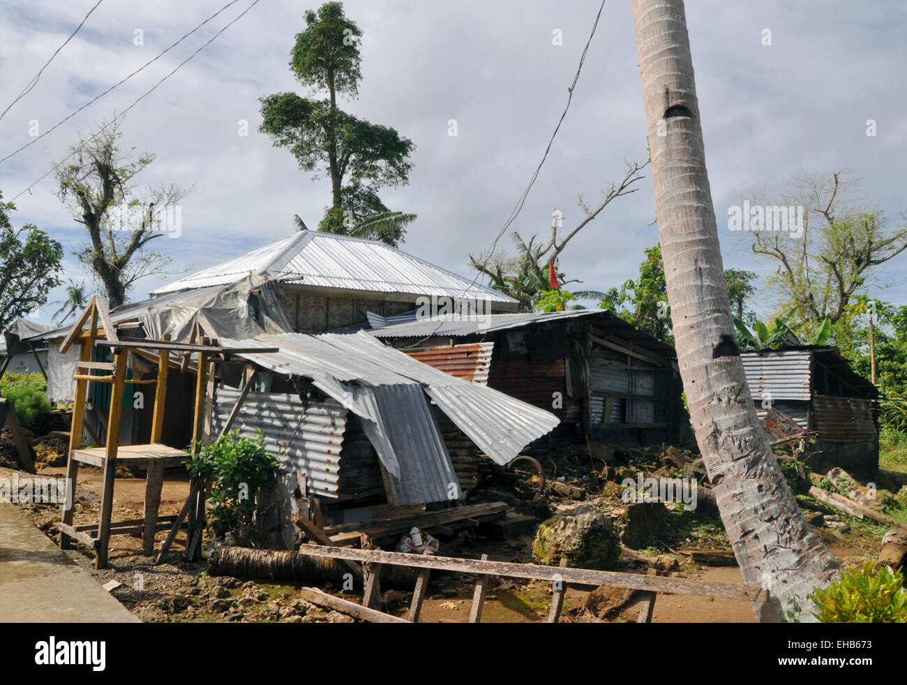 People repair and alter shelters of houses devastated by the Haiyan ...