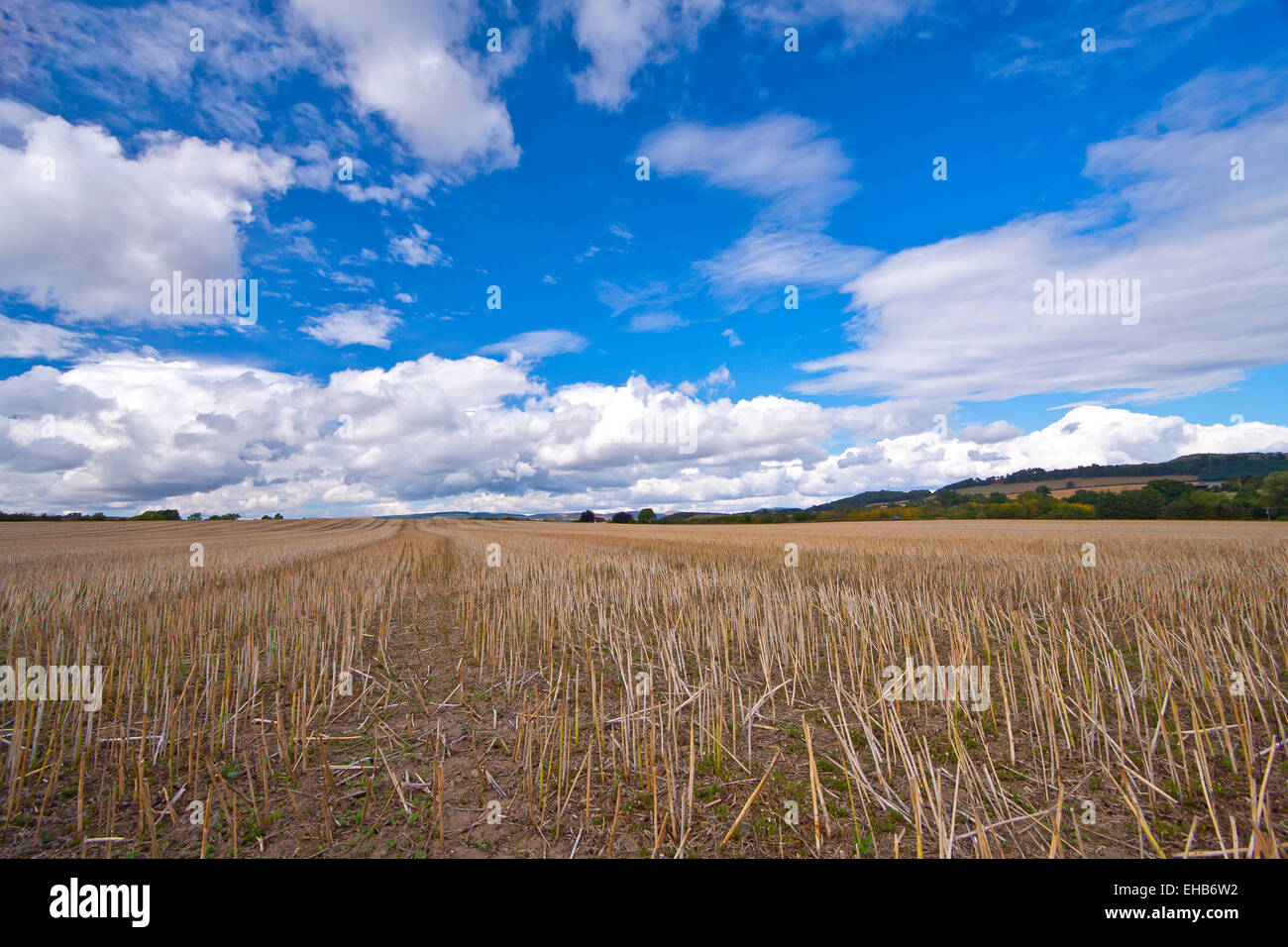 Stubble wheatfield hi-res stock photography and images - Alamy
