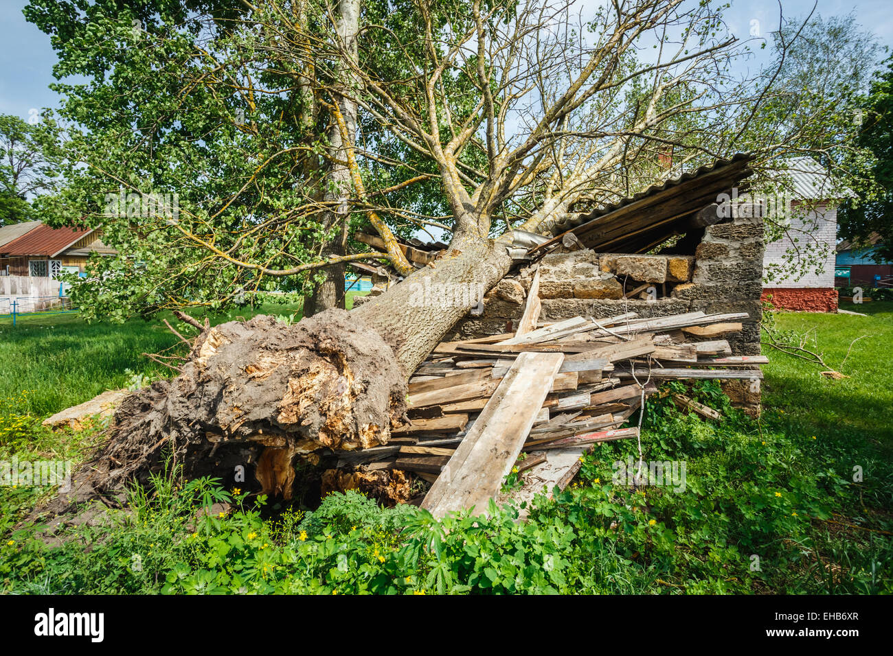 Old Barn Damaged By Recent Hurricane. Natural Disaster Stock Photo - Alamy