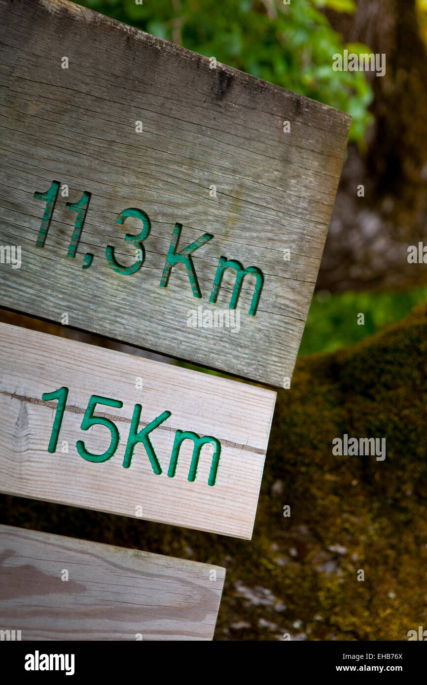 Hiking signs on wooden panels in the forest Stock Photo - Alamy