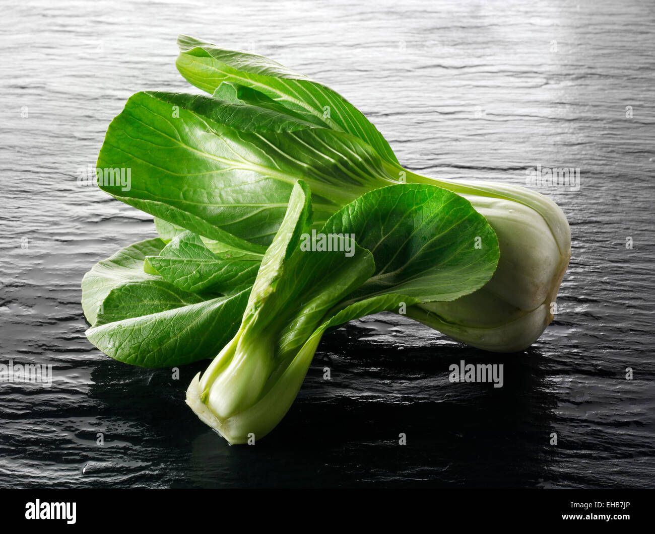 Whole fresh Pak Choi cabbage on a black background Stock Photo - Alamy