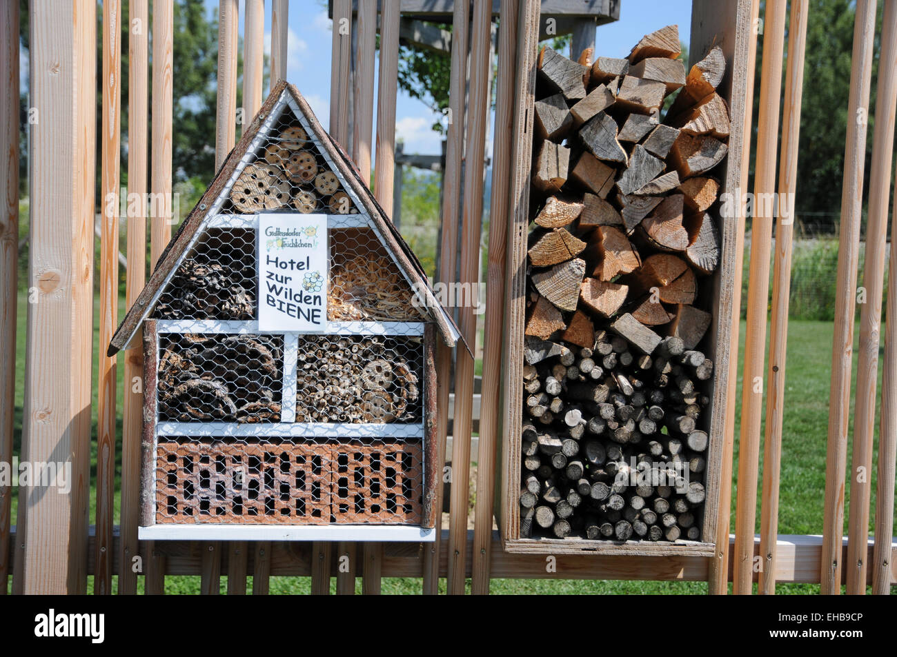 Nest box for insects Stock Photo - Alamy