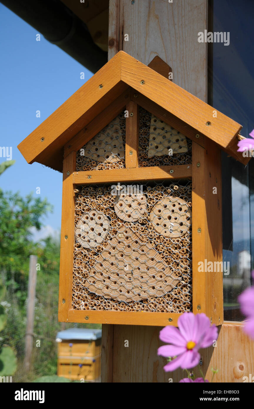Nest box for insects Stock Photo - Alamy