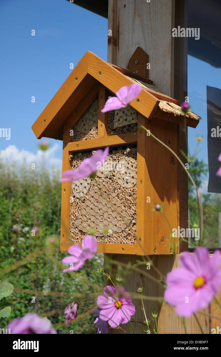 Nest box for insects Stock Photo - Alamy