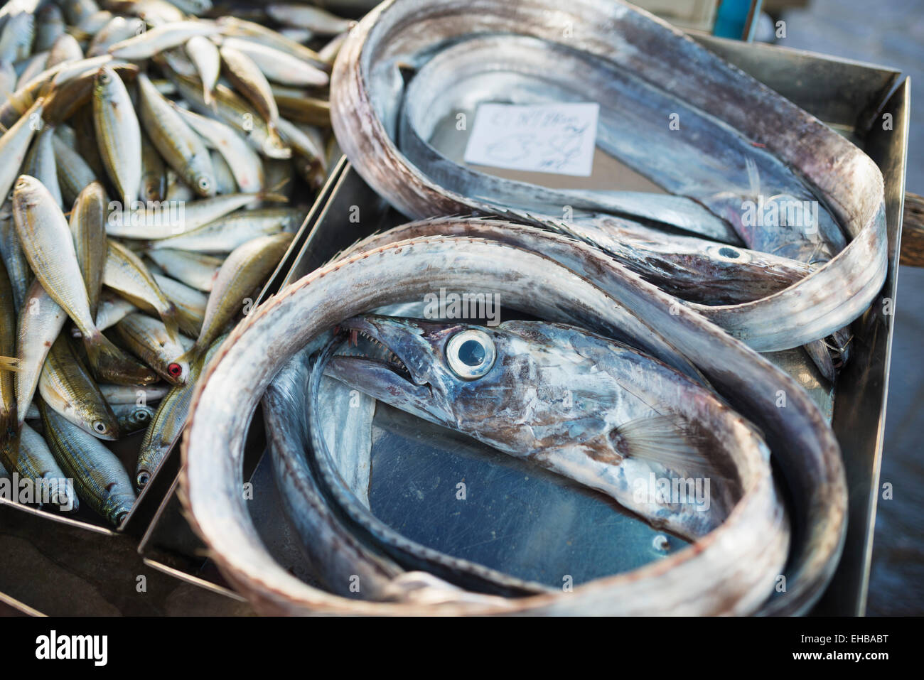 Mediterranean Europe, Malta, Marsaxlokk harbour, Sunday fish market ...