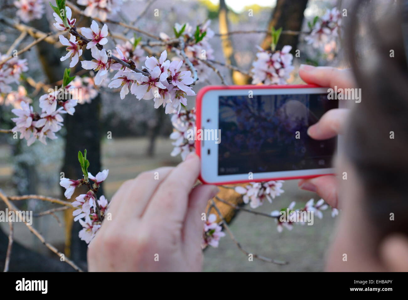 Madrid, Spain. 10th Mar, 2015. Sunny weather and warm temperatures have ...