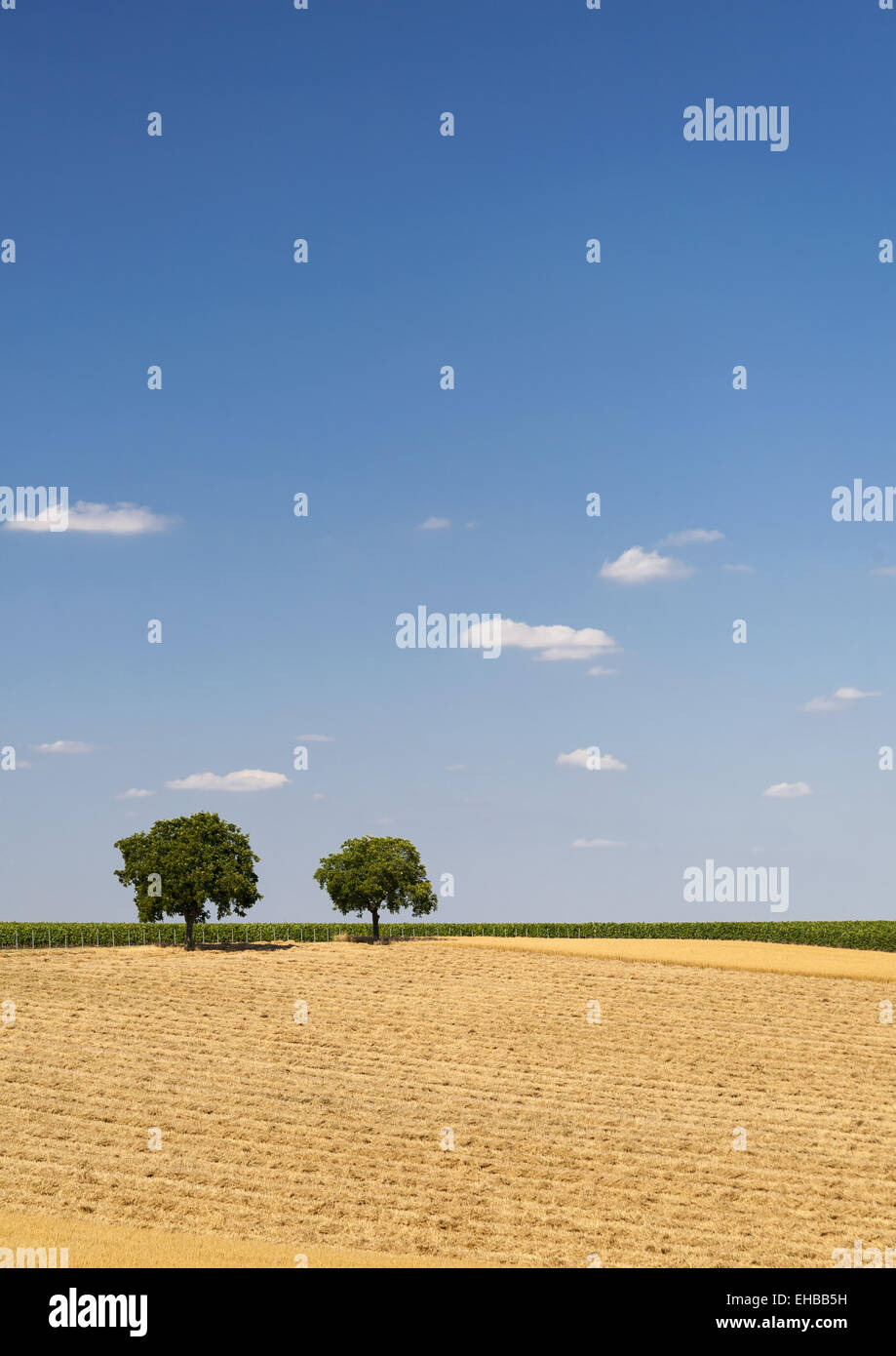 Harvest time harvest hi-res stock photography and images - Alamy