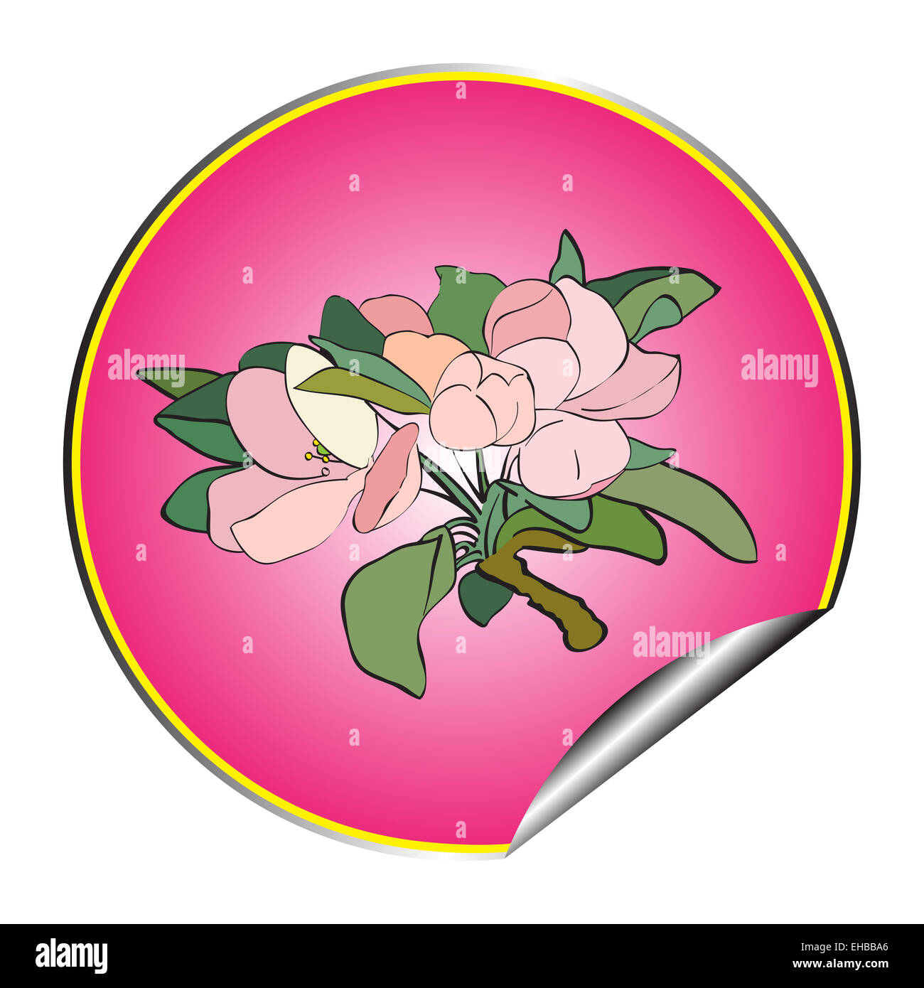 Feminine sticker Cut Out Stock Images & Pictures - Alamy