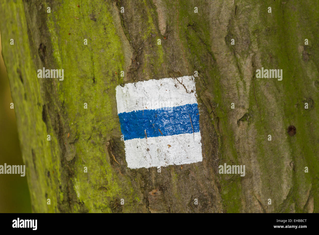 Trekking sign on a tree Stock Photo - Alamy