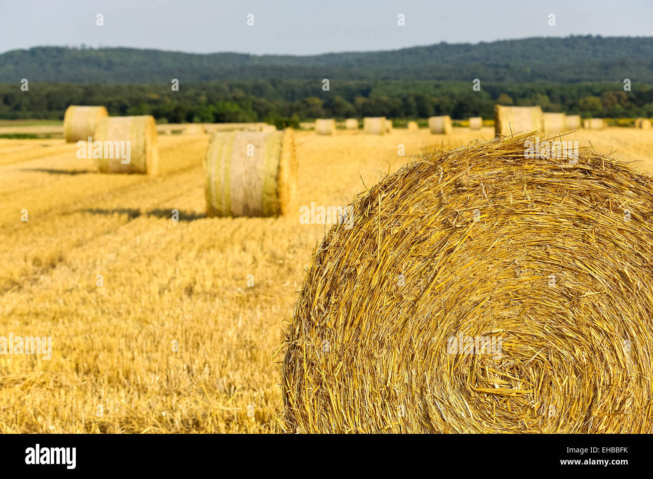 Straw bales after harvest of grain Stock Photo - Alamy