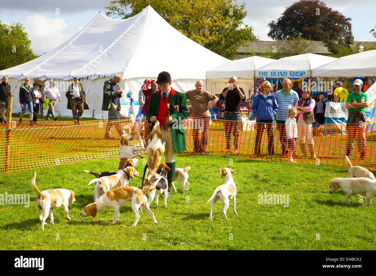 Woman holding a ferret. Coniston Show, Lake District National Park ...