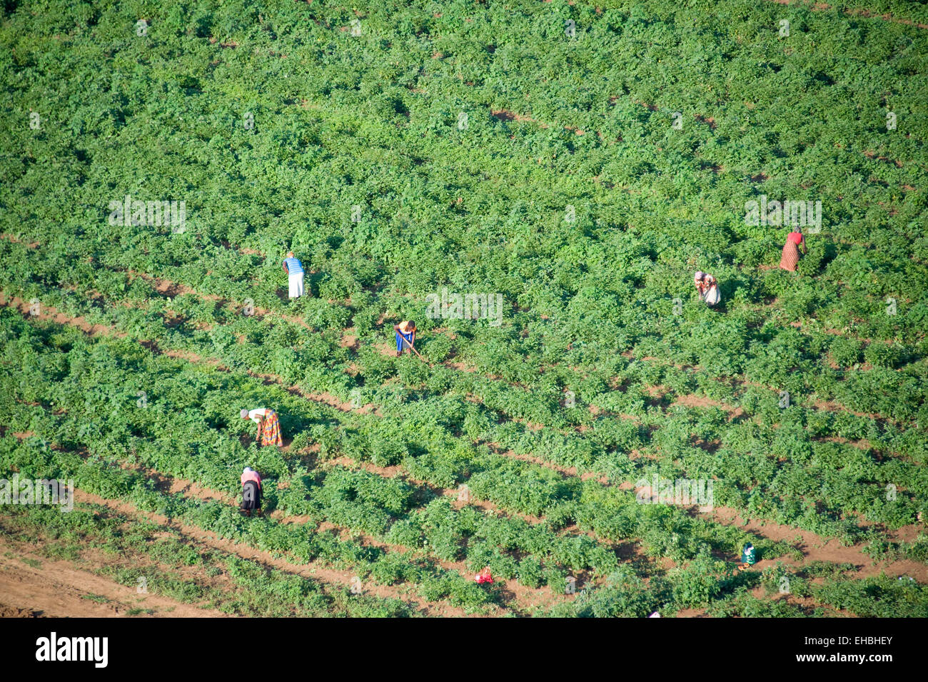 Zim people hi-res stock photography and images - Alamy