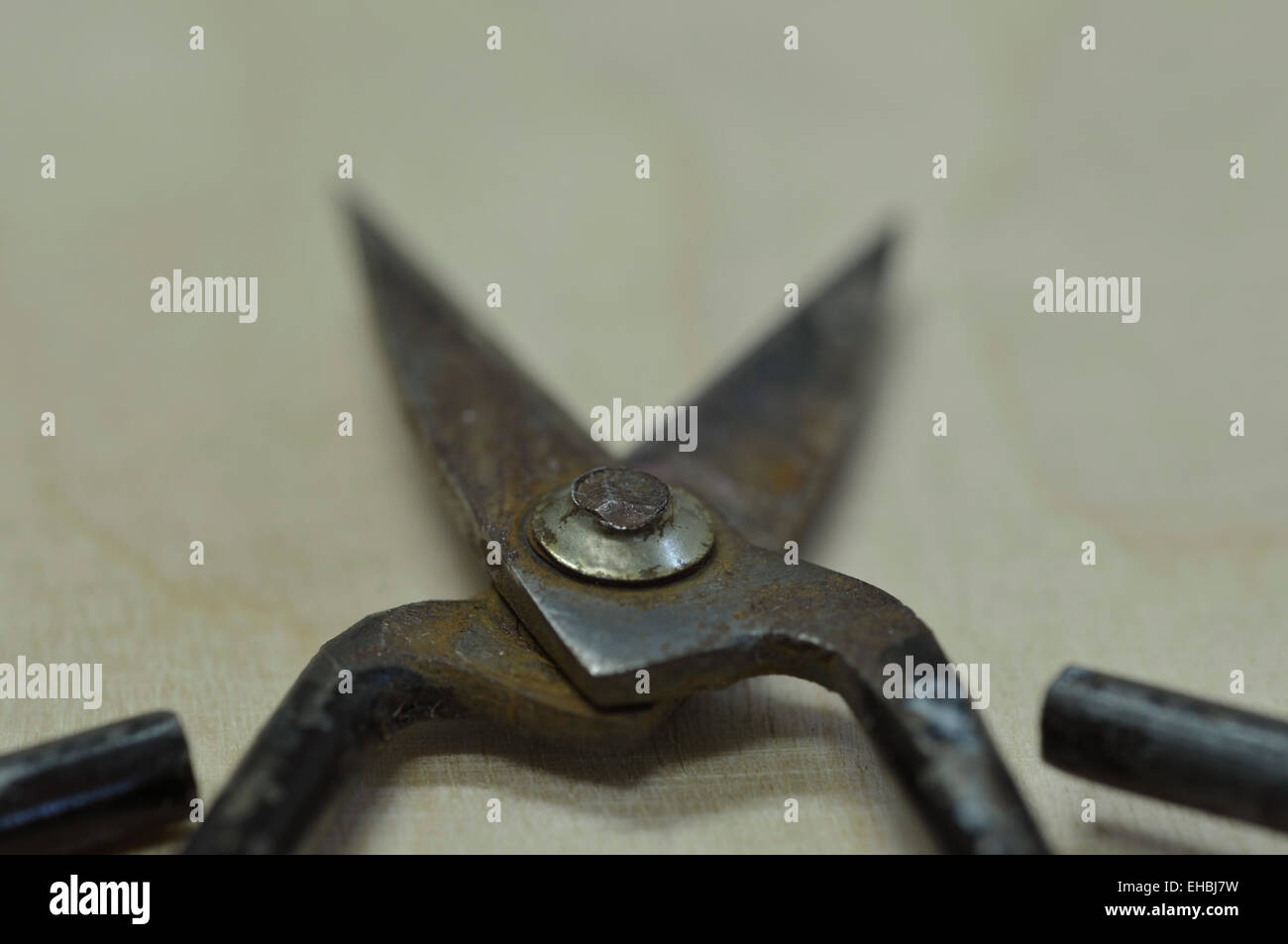 Old pruning scissors Stock Photo - Alamy