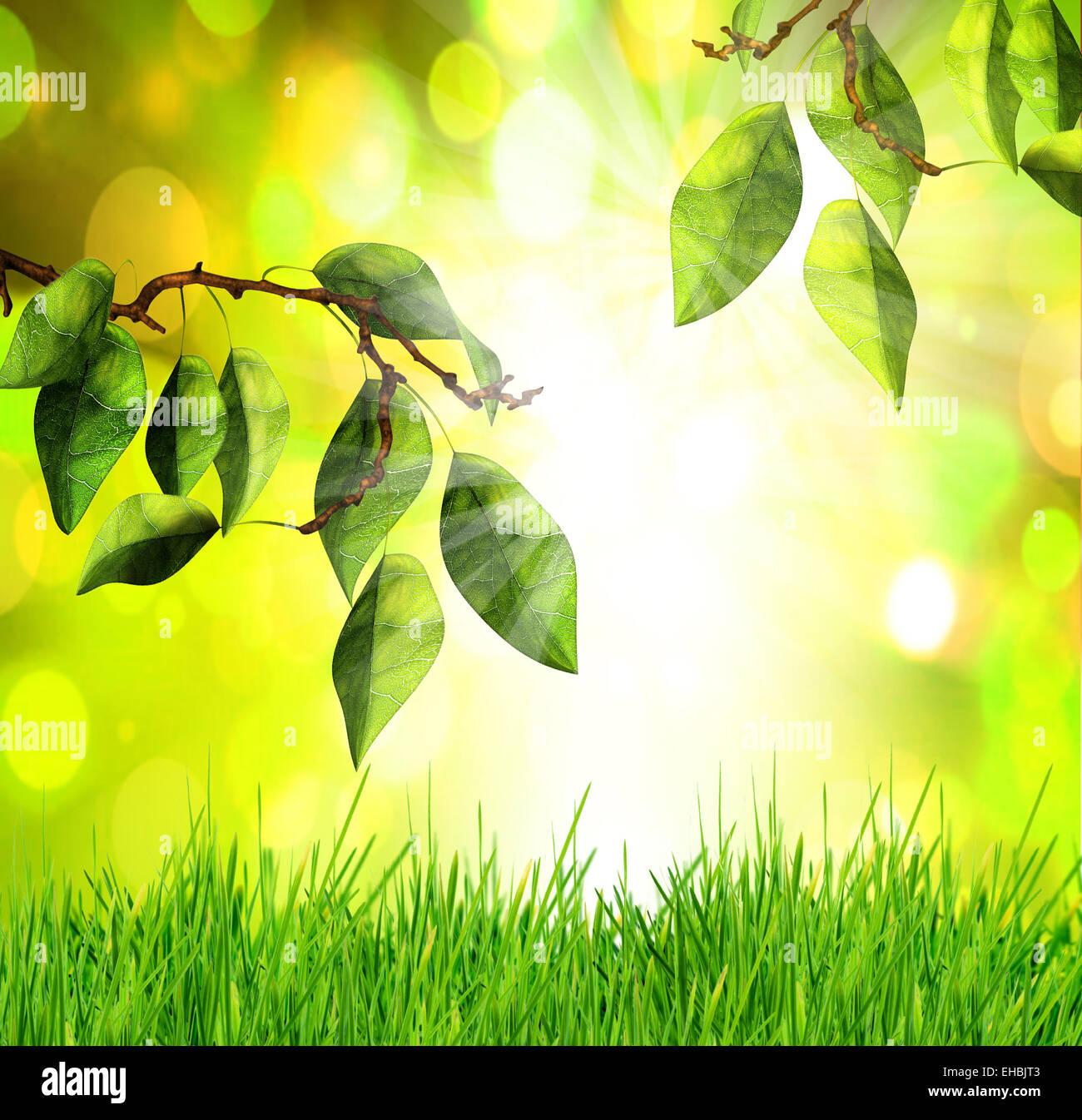 tree branch, over spring natural green background Stock Photo - Alamy