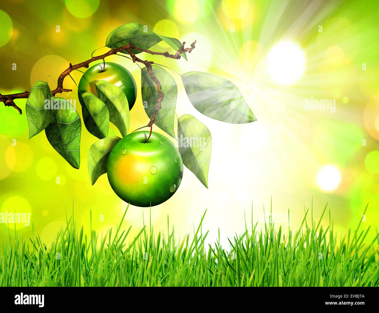 tree branch, over spring natural green background Stock Photo - Alamy