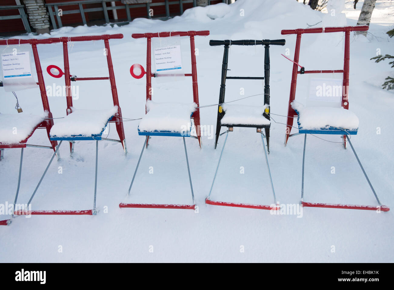 Kick sleds or sledges for hire at in Levi Lapland Finland deep in snow ...