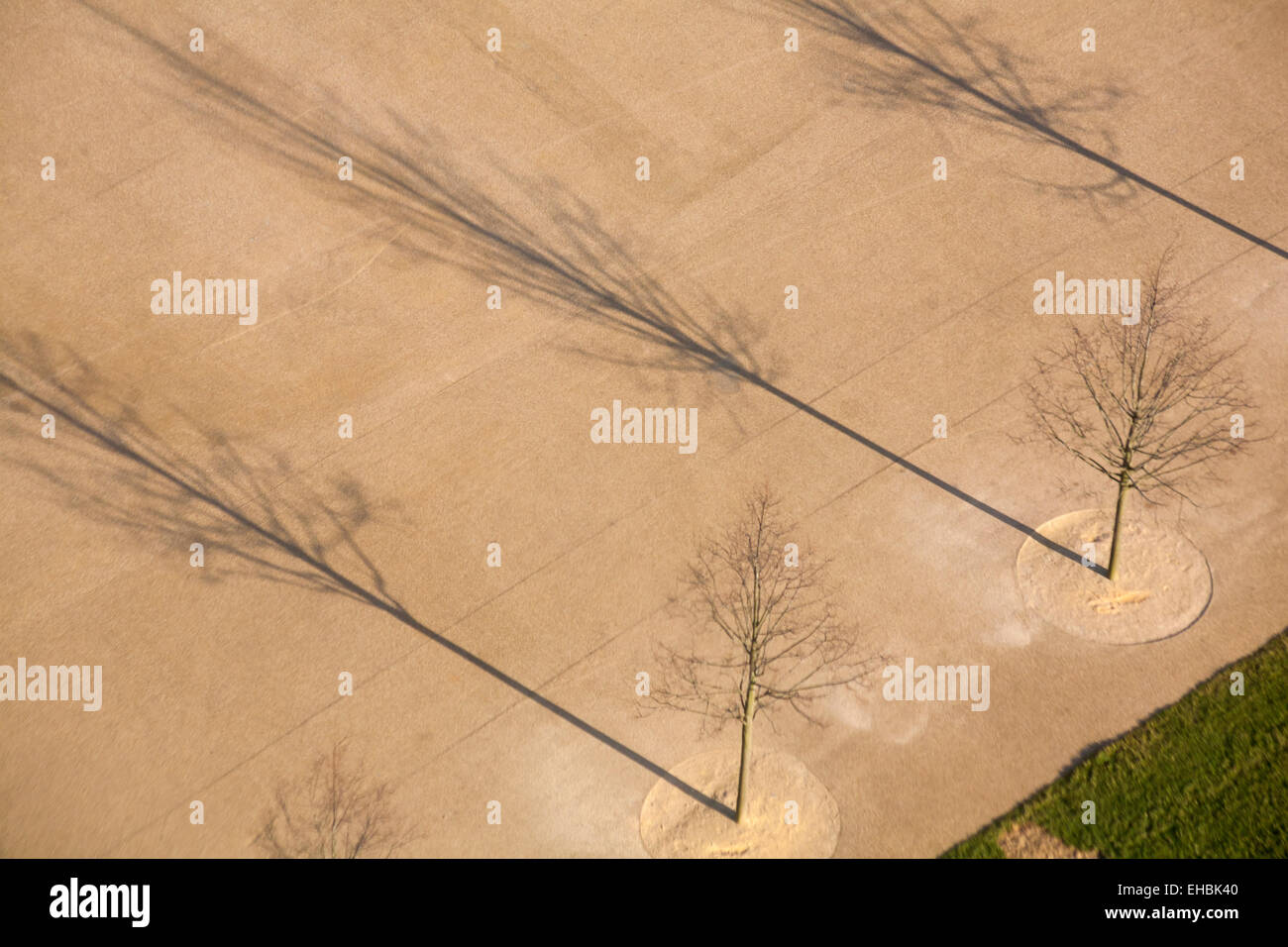 Looking down over leafless trees with shadows Stock Photo - Alamy