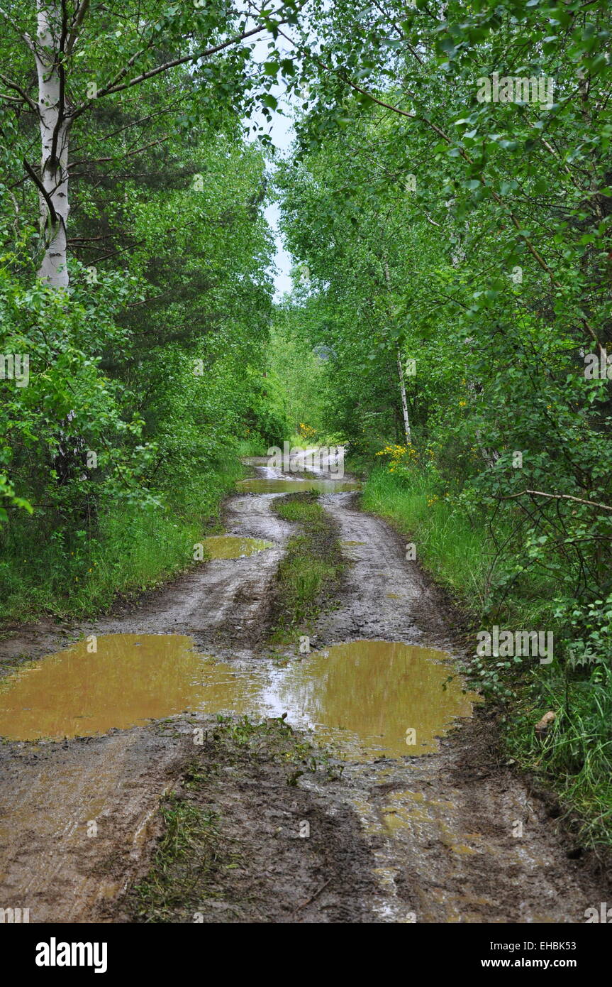 Endless road with puddles all over in the rainy day Stock Photo - Alamy