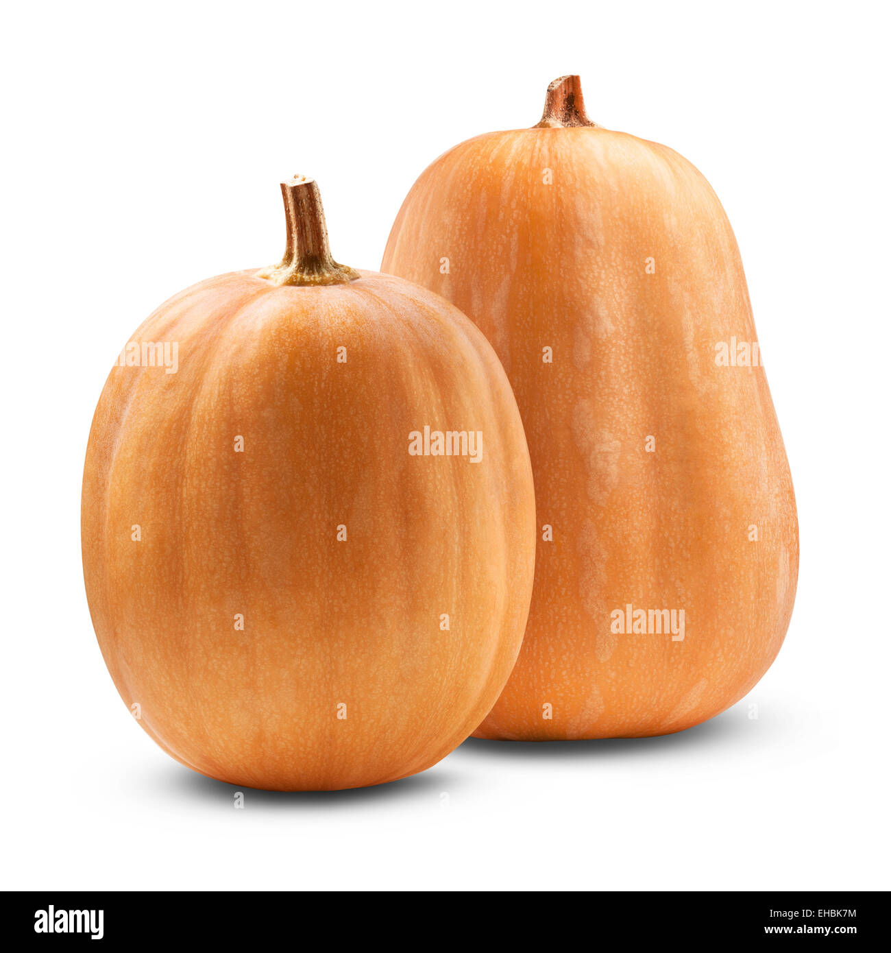 Big pumpkin hi-res stock photography and images - Alamy