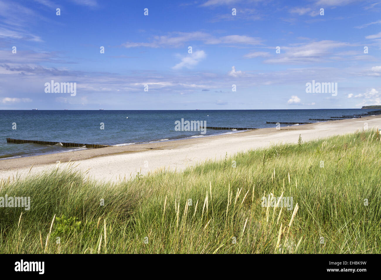 Baltic Sea coast Stock Photo - Alamy