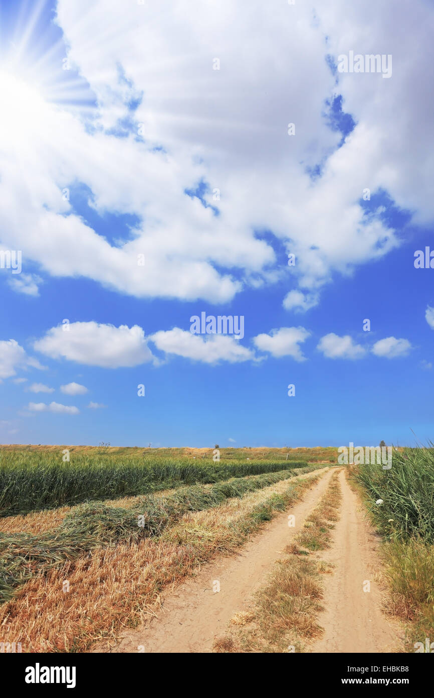 Season road dirt landscape rural hi-res stock photography and images ...