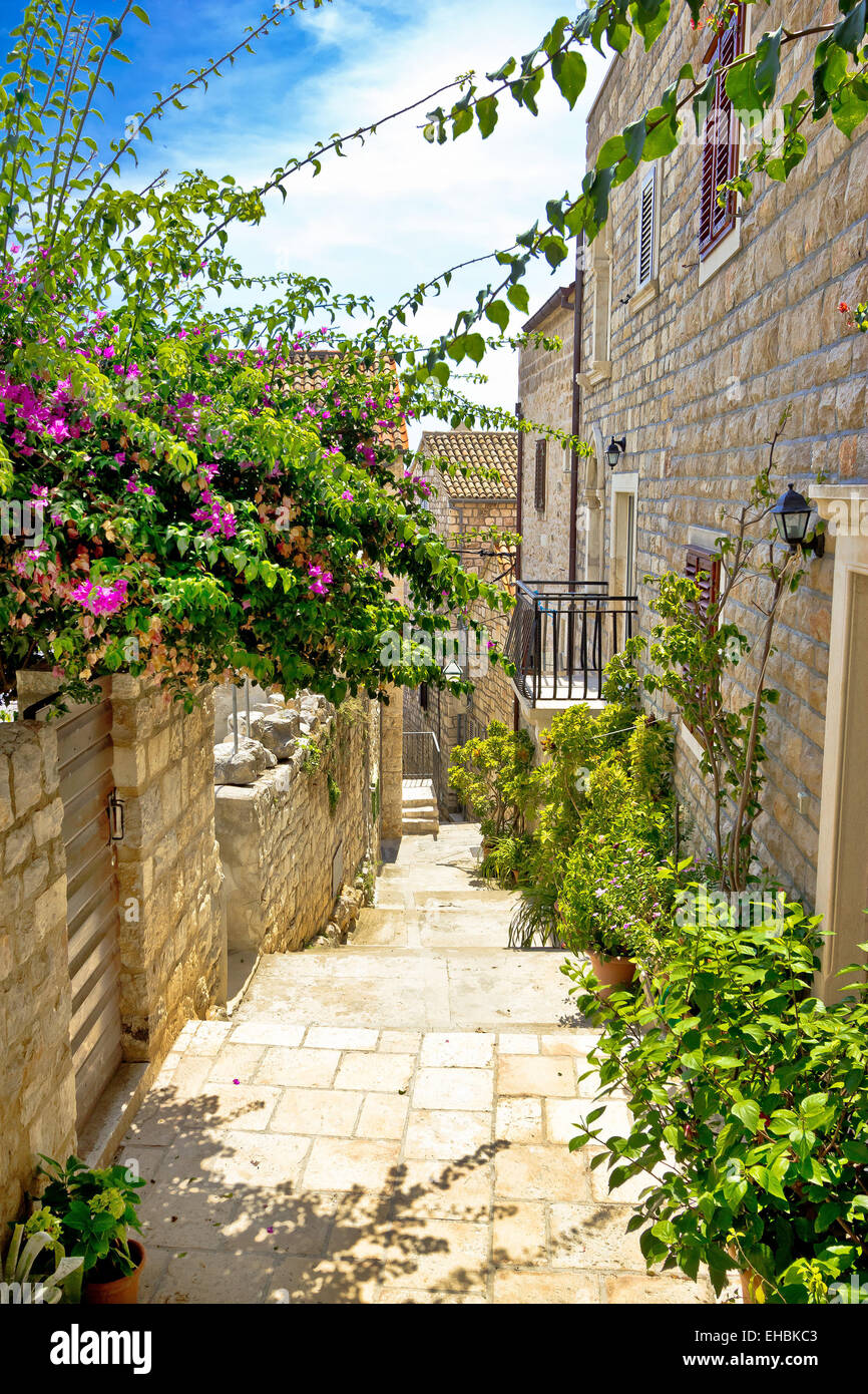 Stone road in street hi-res stock photography and images - Alamy