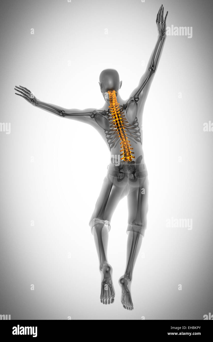 human bones radiography scan image Stock Photo - Alamy