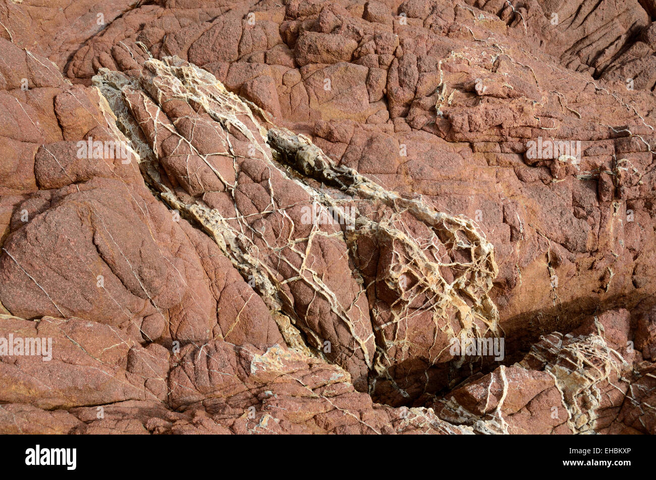 Rhyolite Rock Isolated On White Background Stock Photo