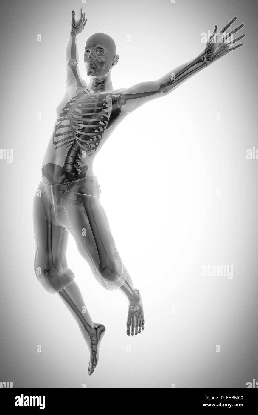human bones radiography scan image Stock Photo - Alamy