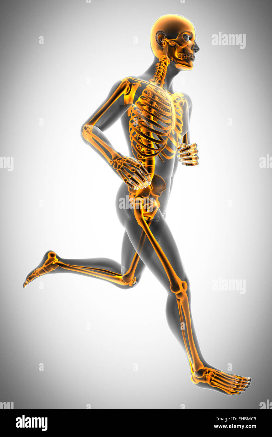Ray image human bones hi-res stock photography and images - Alamy