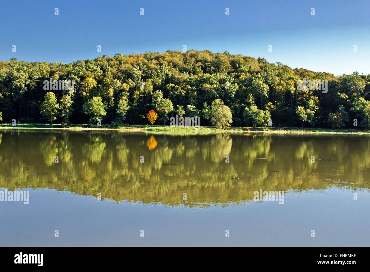 Tree reflections on lake water hi-res stock photography and images - Alamy