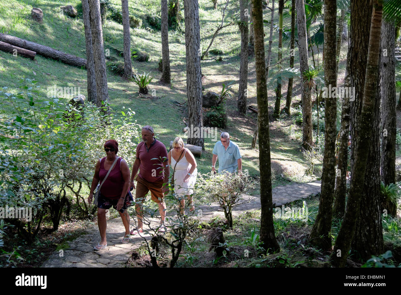 In botanical gardens on hi-res stock photography and images - Alamy