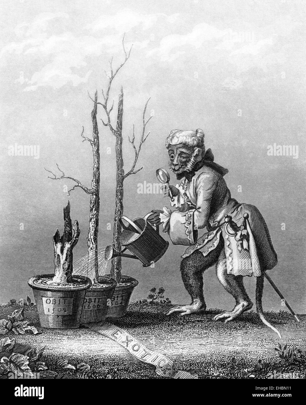 Hogarth satire Black and White Stock Photos & Images - Alamy